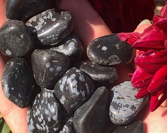 Snowflake Obsidian Small Tumbled Stones - Etsy