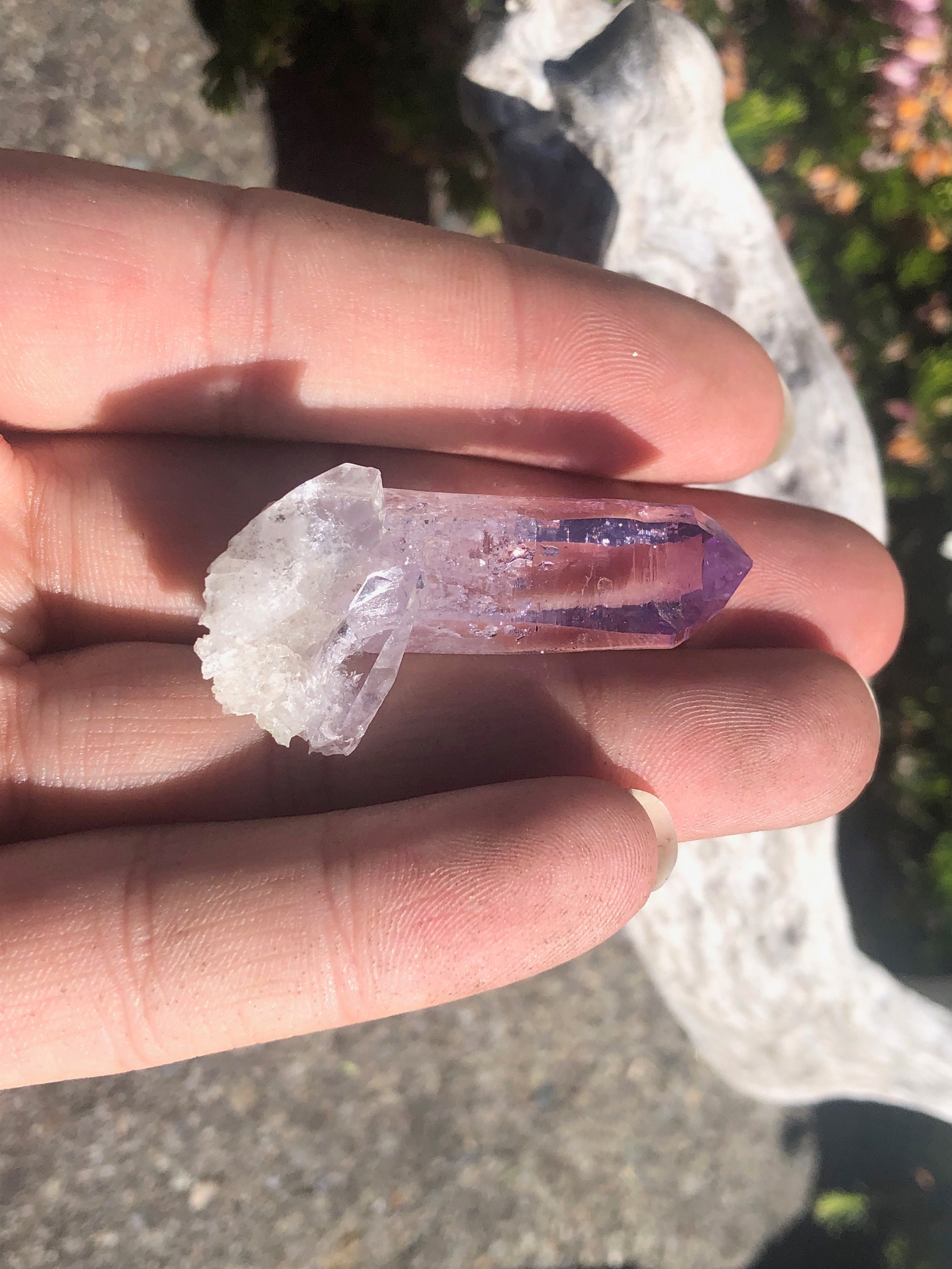 Rare Vera Cruz Amethyst Crystal Cluster - Etsy