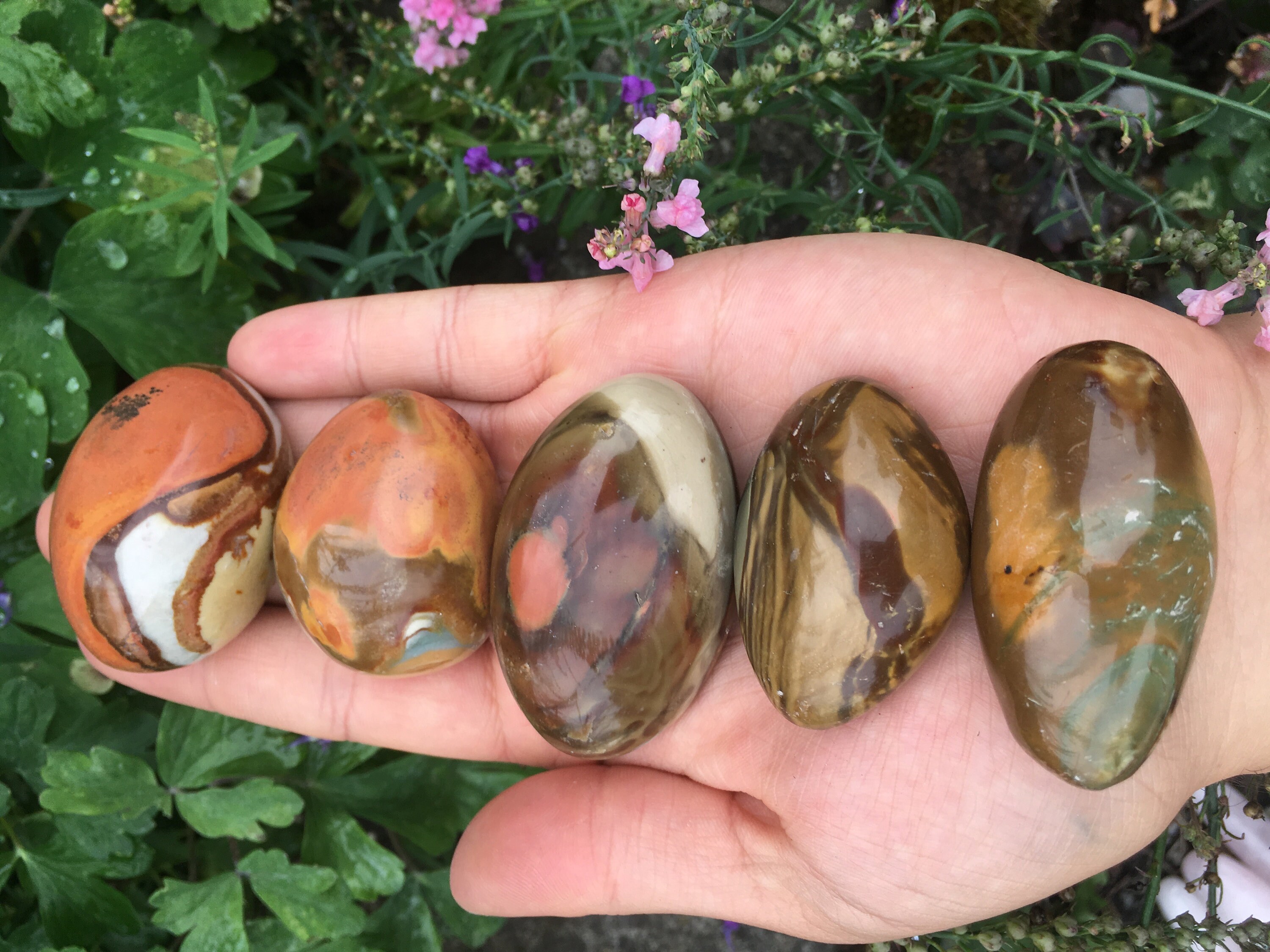 Poly Chrome Jasper Palm Stones - Etsy