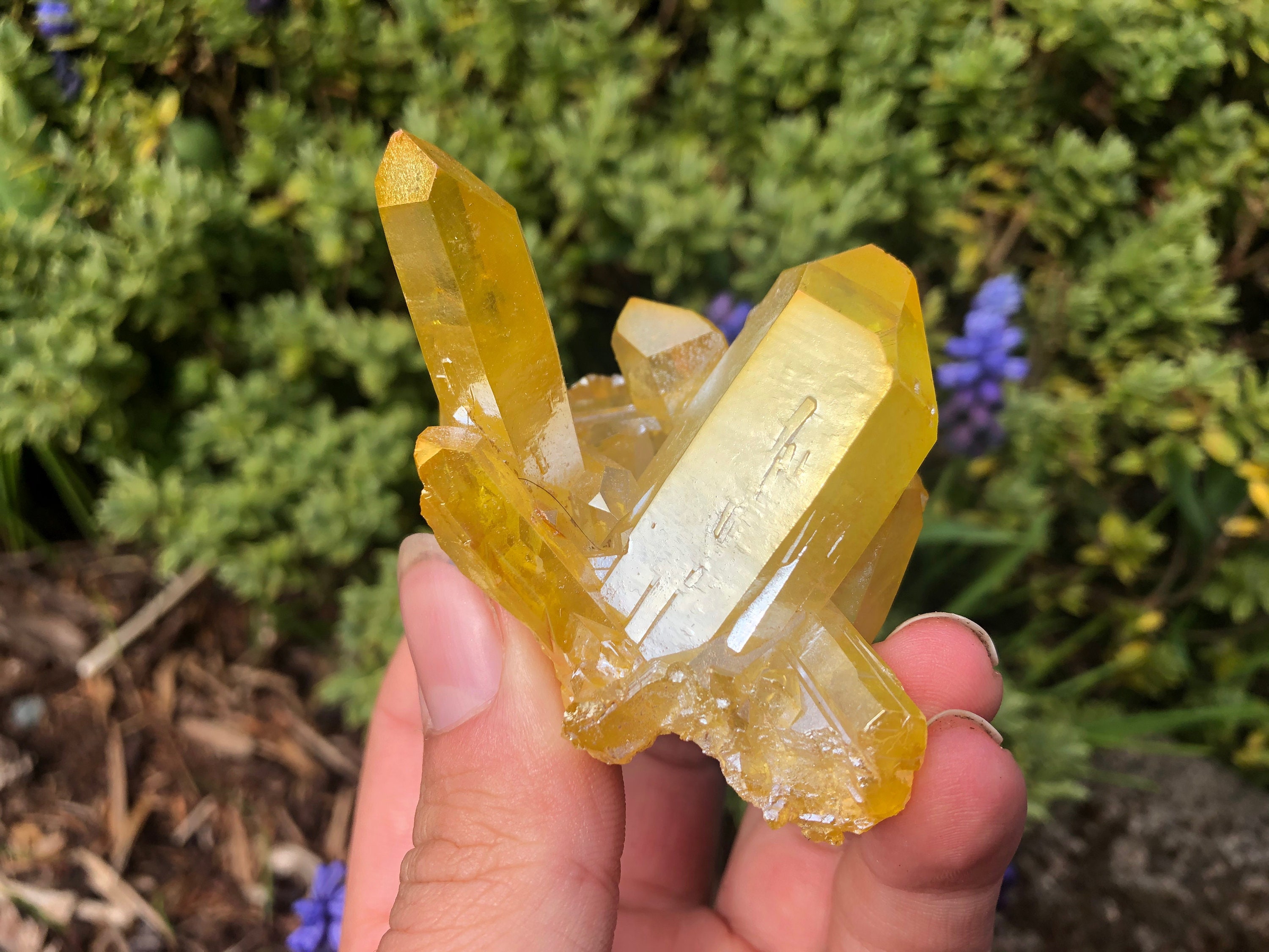 Sparkling Yellow Flame Aura Quartz Cluster - Etsy