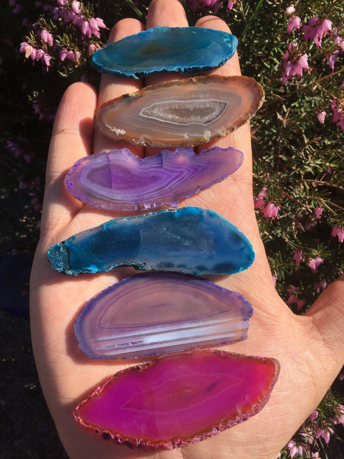 Small Dyed Agate Slices - Etsy