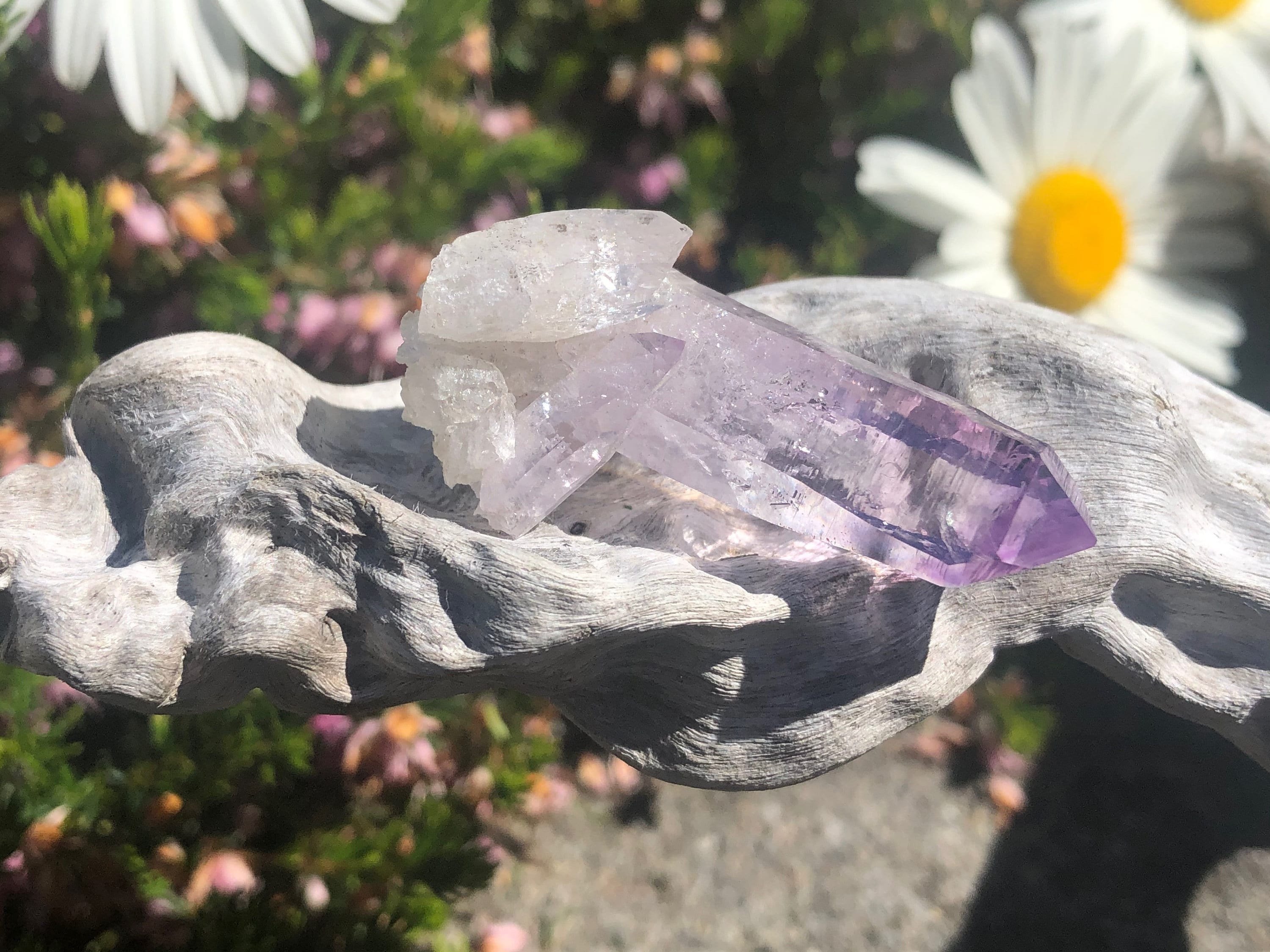 Rare Vera Cruz Amethyst Crystal Cluster - Etsy