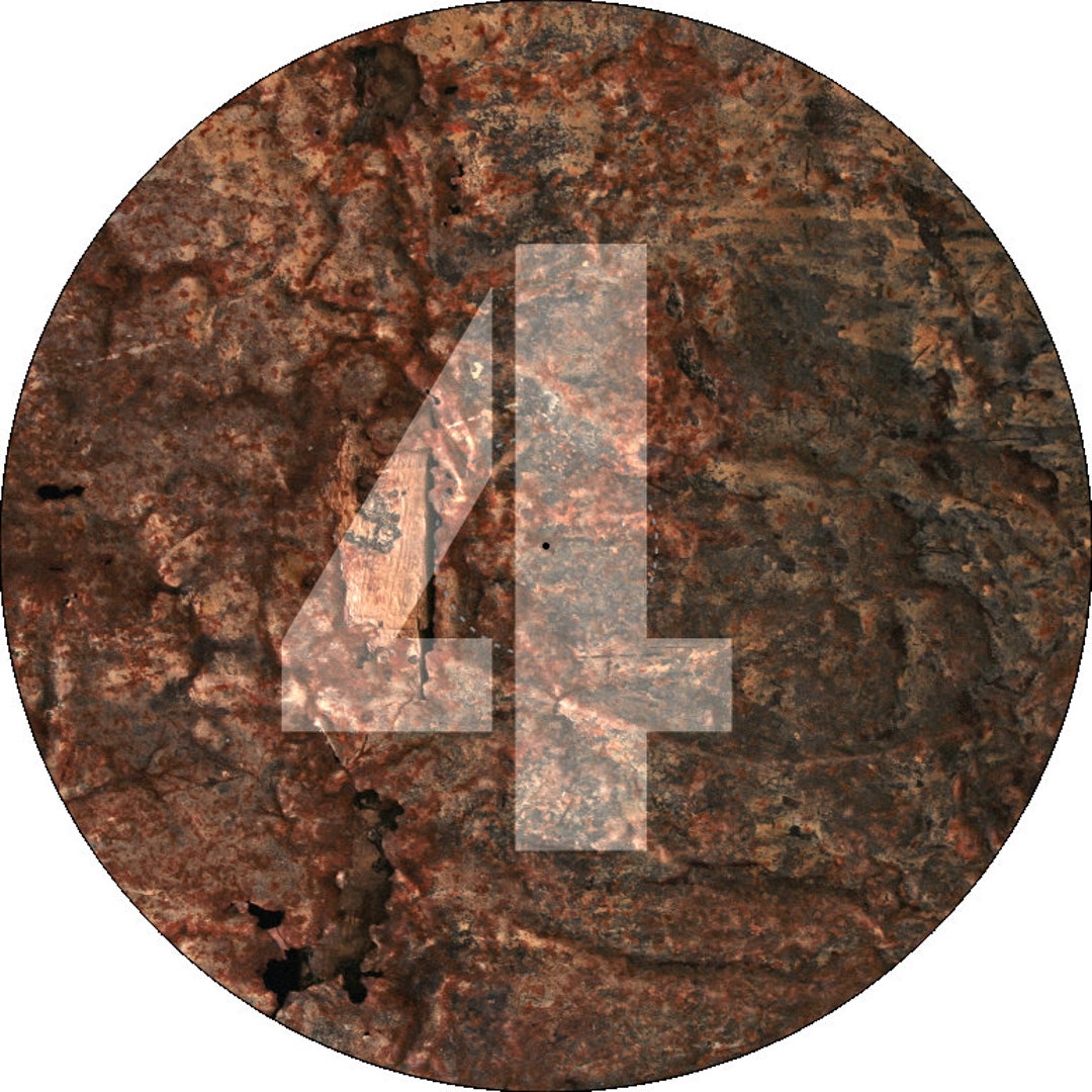 Neoprene Objective Markers - 6" - Numbered - Etsy