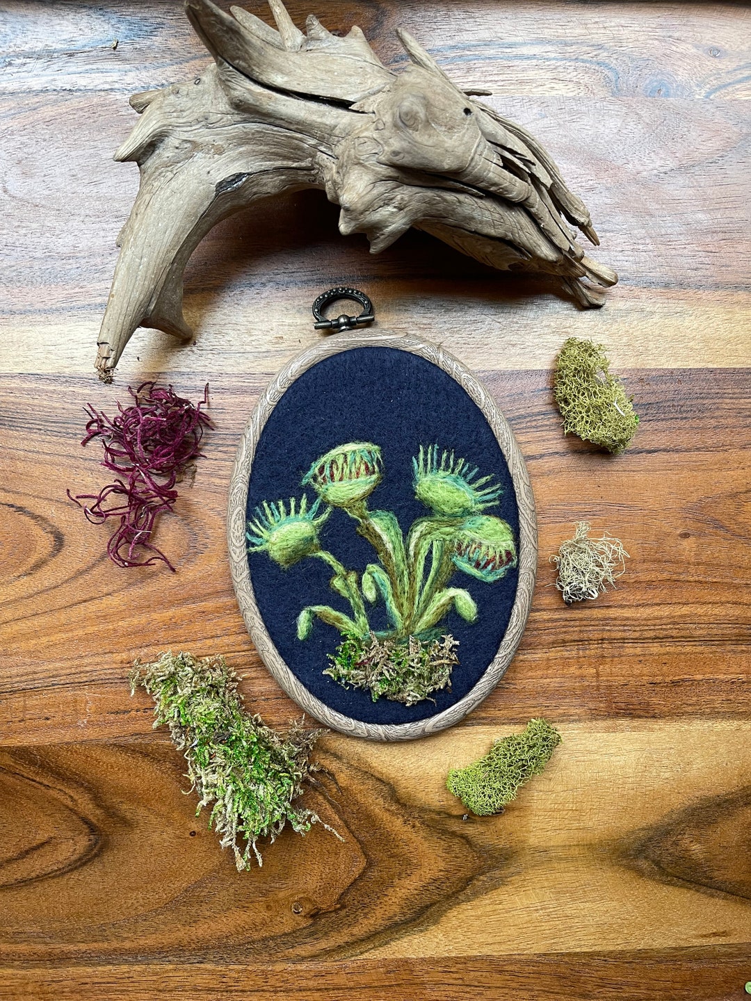 Needle-felted Venus Flytrap - Etsy