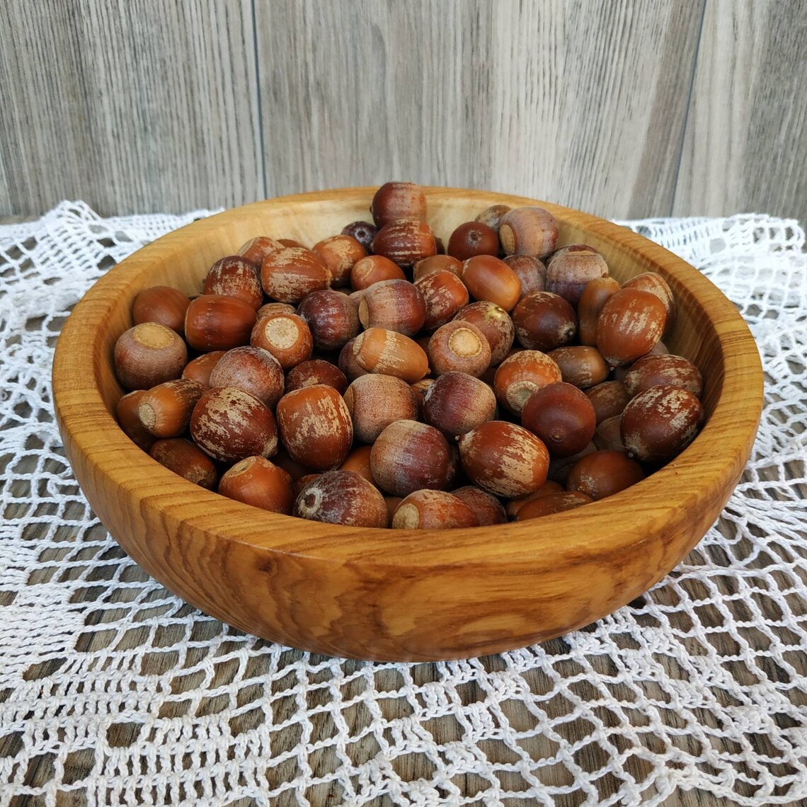 100 Dry Acorns Without Caps. Real Dried Acorns for Craft. - Etsy