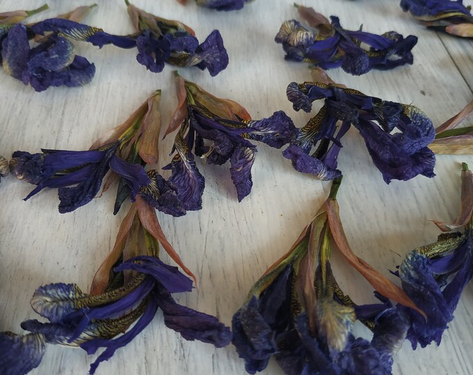 Dried Blue Iris Flowers: Natural Botanical Decor, Resin Art Supply - Etsy
