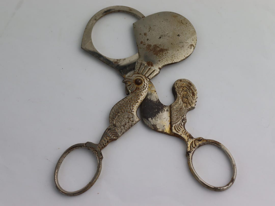 Vintage Egg Cutter, Antique Scissors French English Europe Vintage for ...