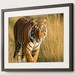 Powerful Tiger Digital Download Wildlife Wall Art Printable - Etsy