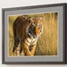 Powerful Tiger Digital Download Wildlife Wall Art Printable - Etsy