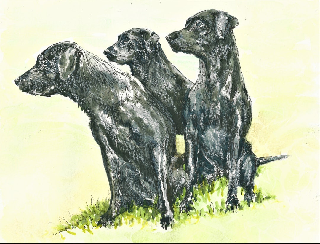 Dog Dog Art Watercolour Print Animal Art Dog Print A3 A4 Lou Stafford ...