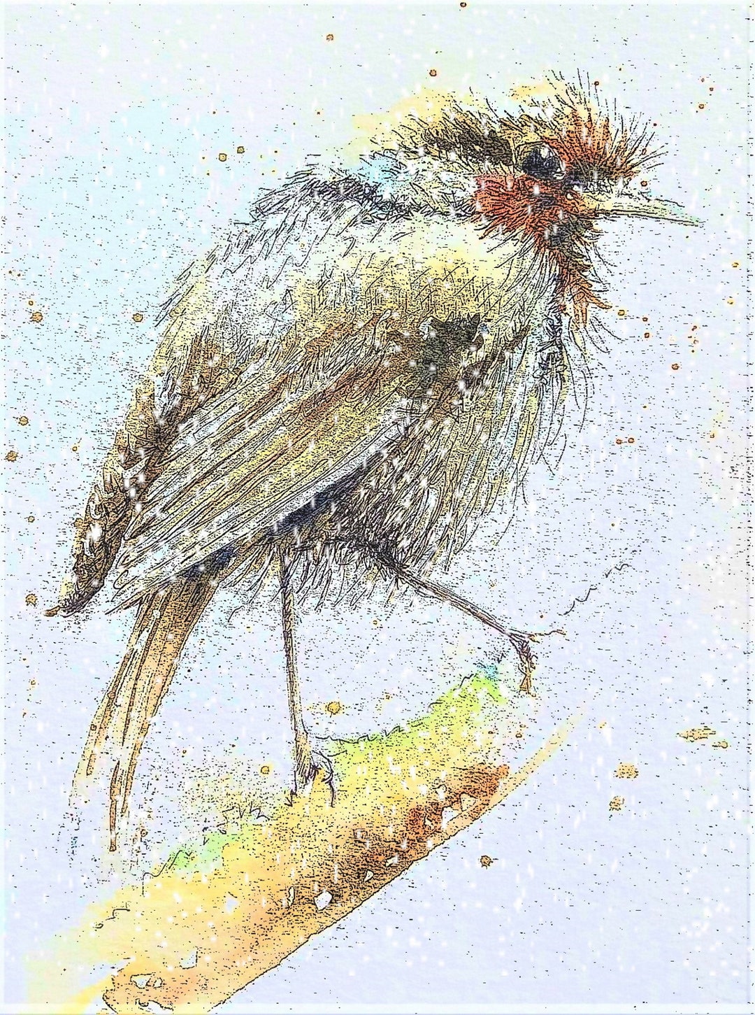 Robin Print Bird Art Watercolour Print Watercolour Art Nursery Print ...