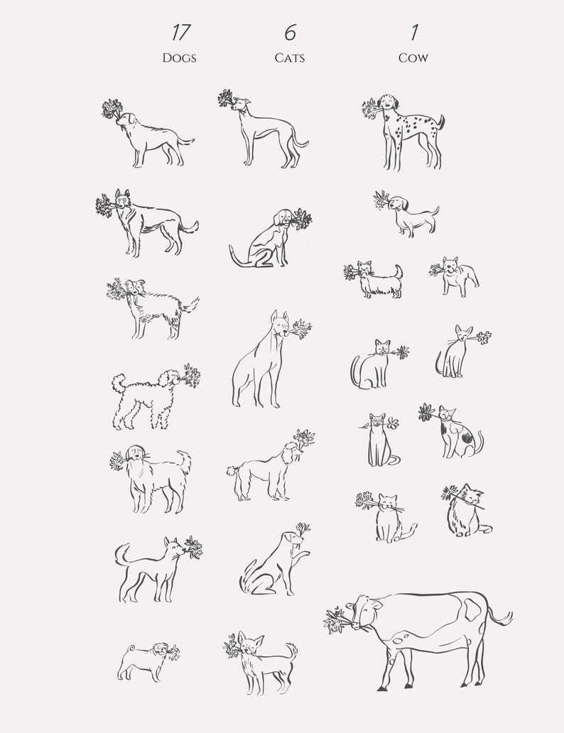 Animals SVG Bundle - Hand Drawn Line Art Icons | Cat-dog Svg | Dogs ...