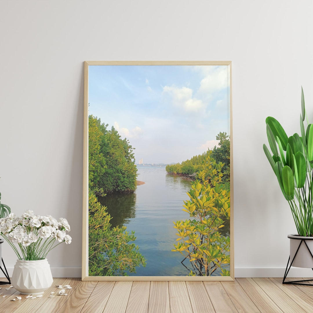 Mangrove Forest, Natural View, for 7 Size to Prints, Wall Art Poster ...