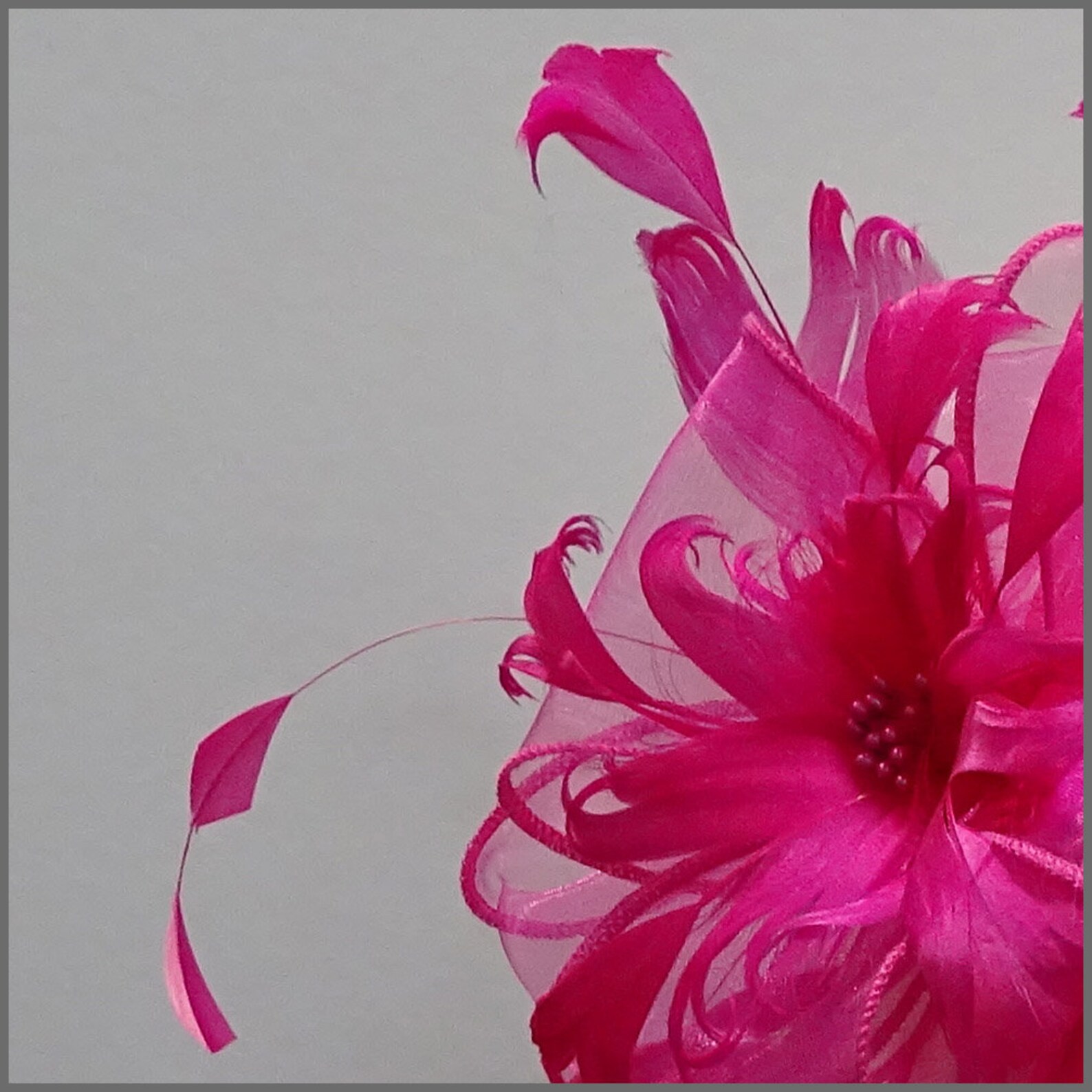 Flower Effect Fuschia Pink Fascinator With Feathers for - Etsy