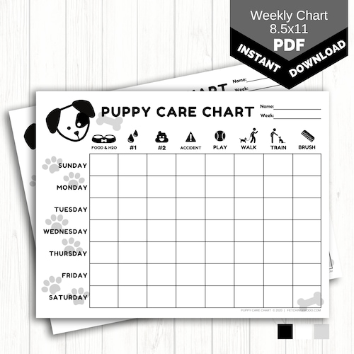 Puppy Potty Training Log Tracker 8.5x11 Instant Printable - Etsy