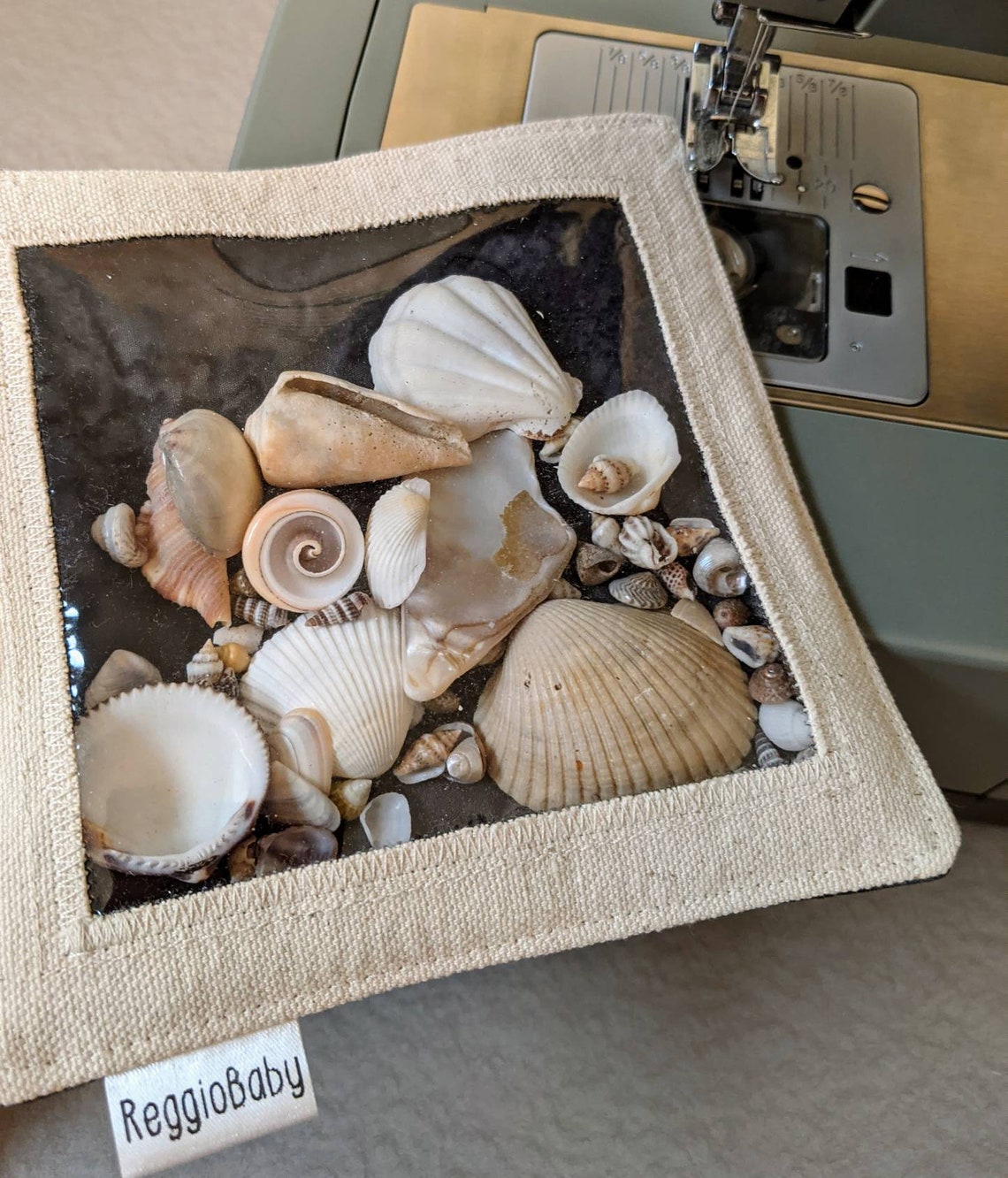 Sensory Toy With Seashells for Young Children People With - Etsy