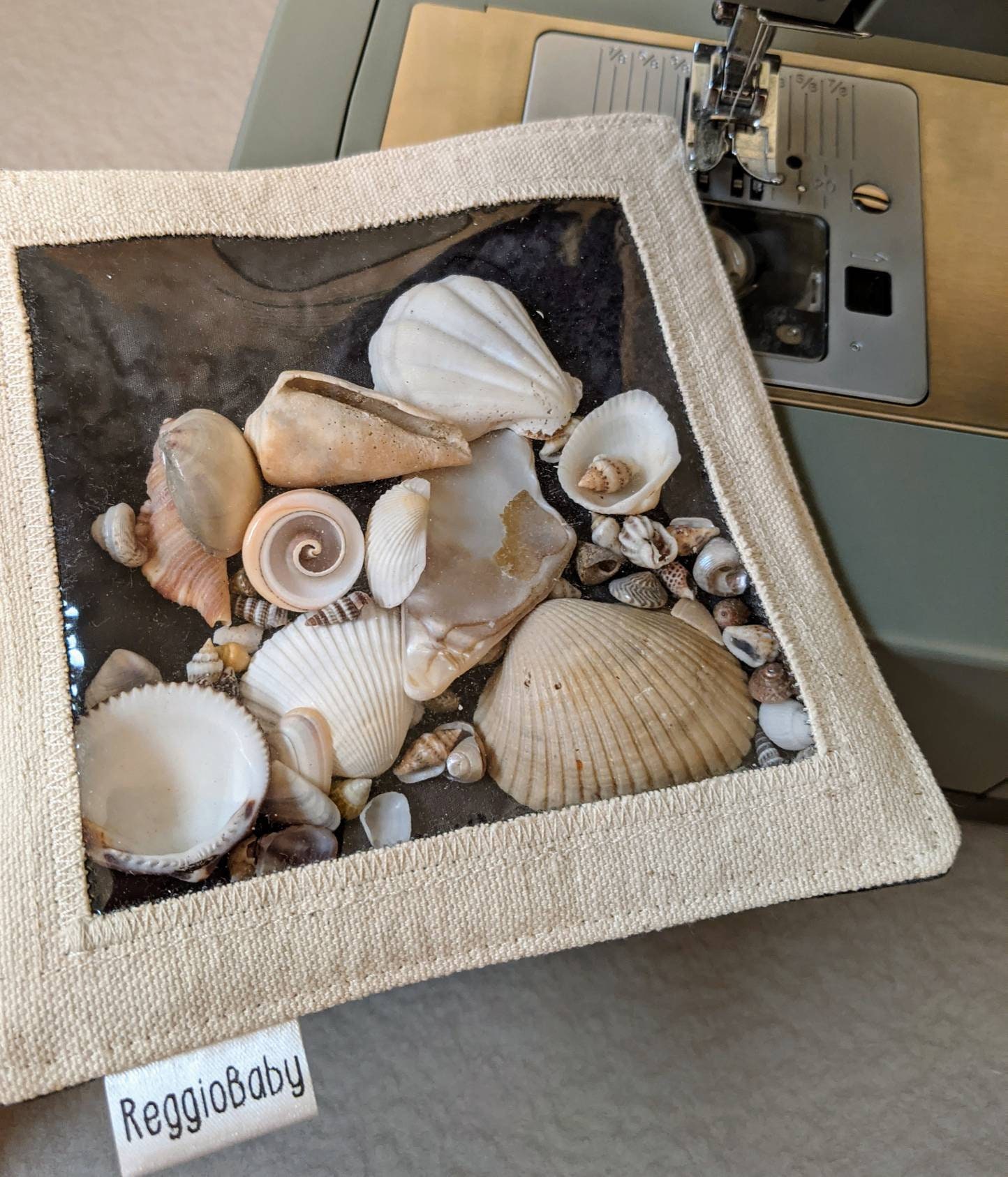 Sensory Toy With Seashells for Young Children People With - Etsy