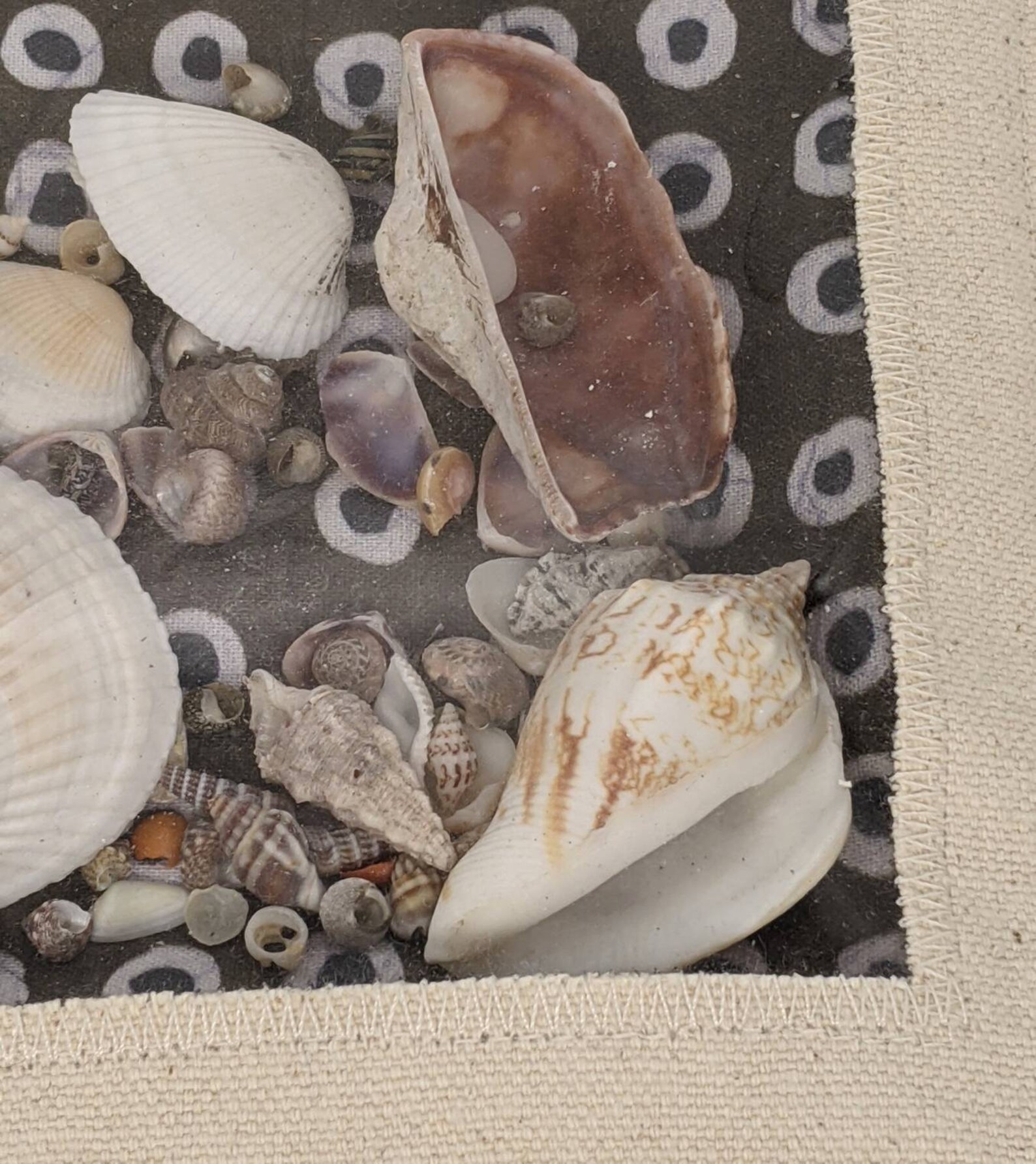 Sensory Toy With Seashells for Young Children People With - Etsy