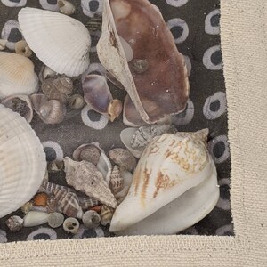 Sensory Toy With Seashells for Young Children, People With Sensory ...