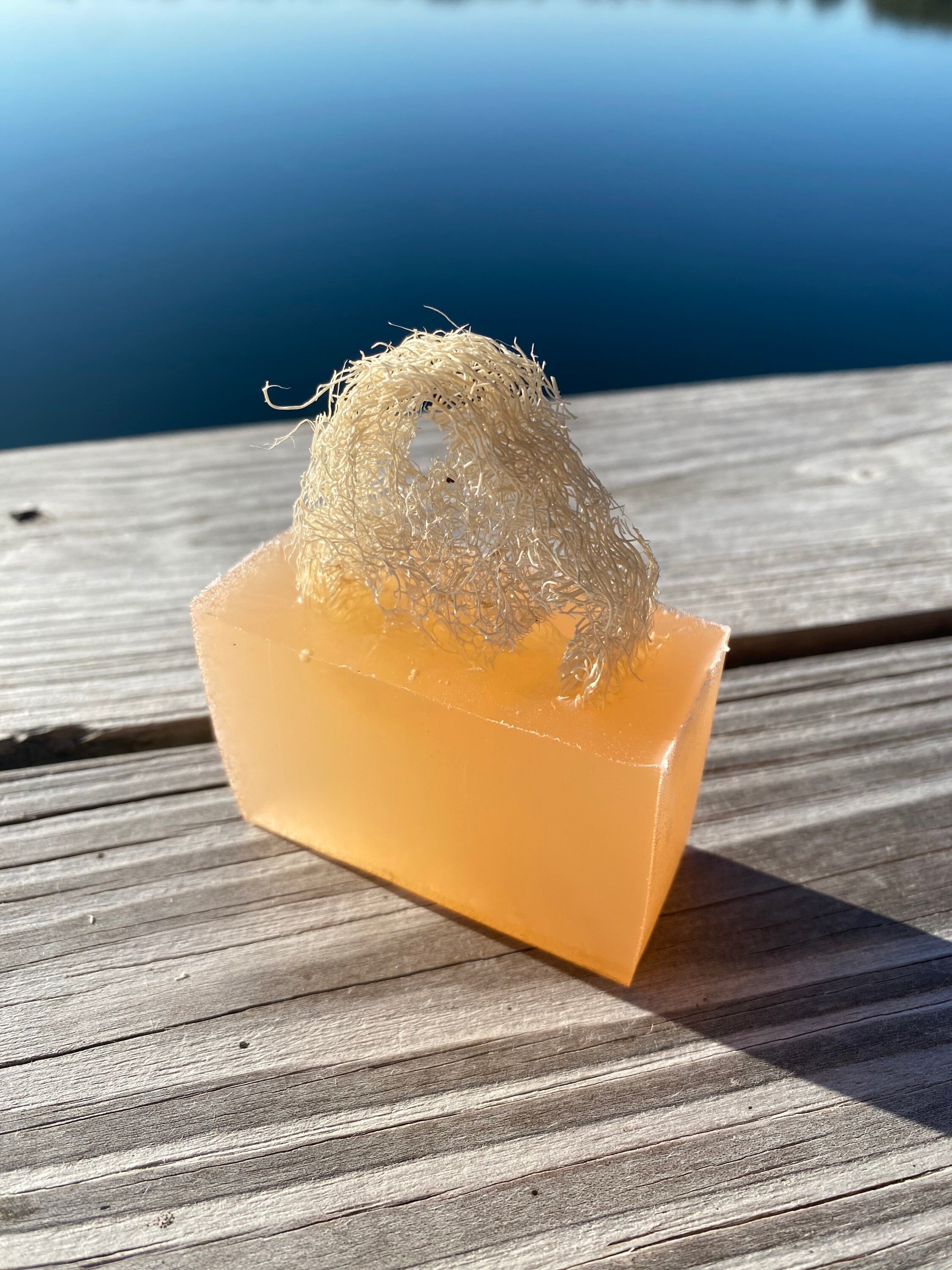 Florida Orange Loofah Soap - Etsy