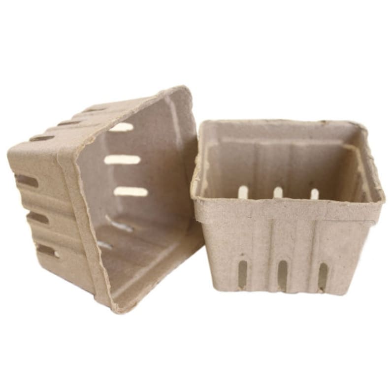 Berry Baskets Pint Size- 10 Pack - Etsy