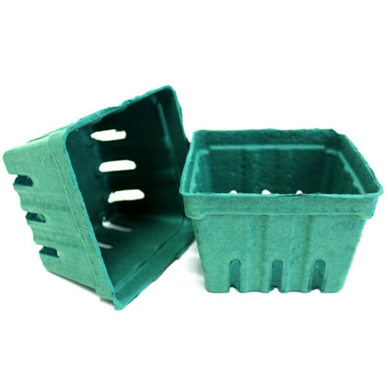 Berry Baskets Pint Size- 10 Pack - Etsy