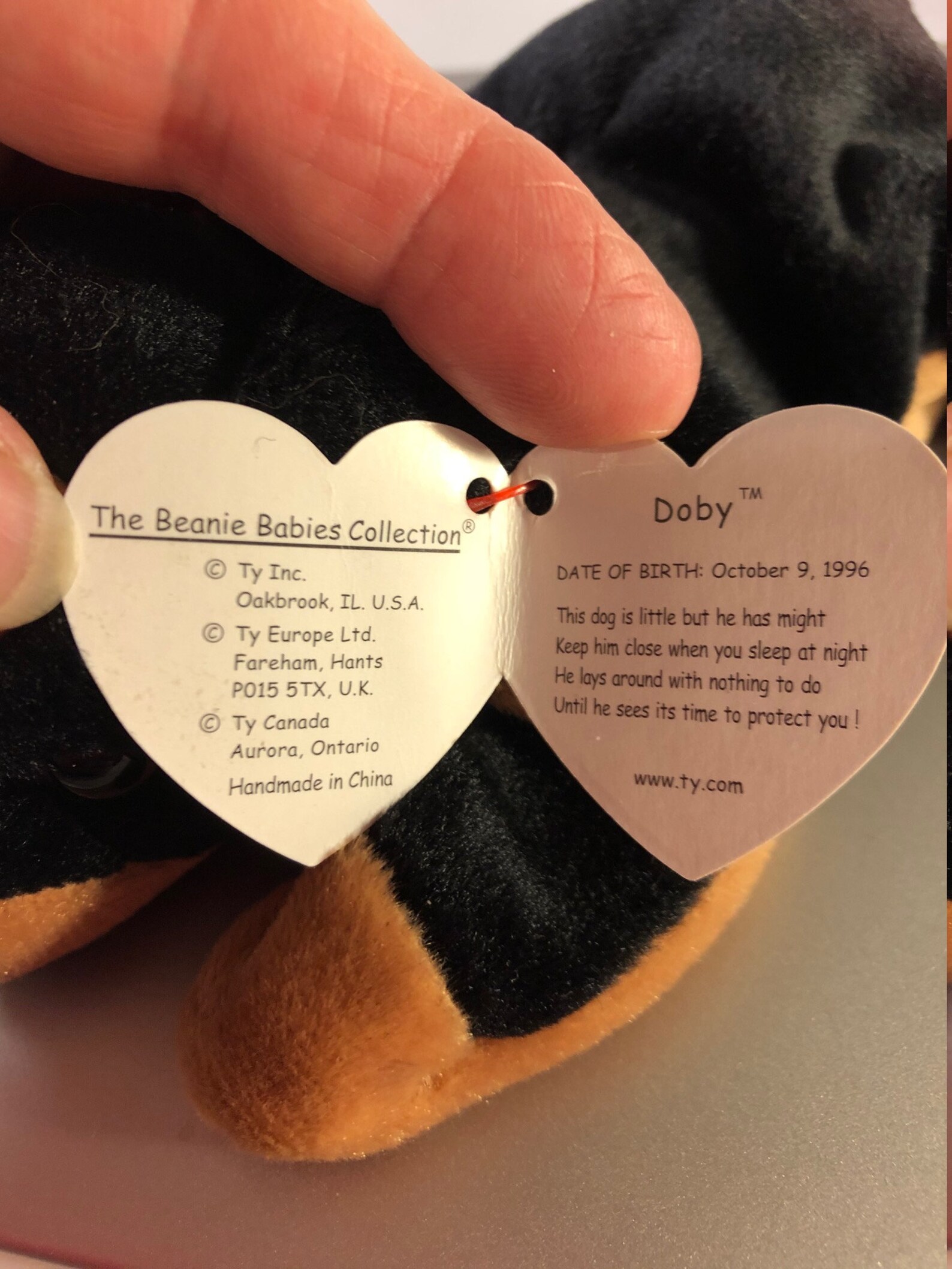 Beanie Baby Doby. Black and Brown Doberman. Cute Black Eyes and Nose ...