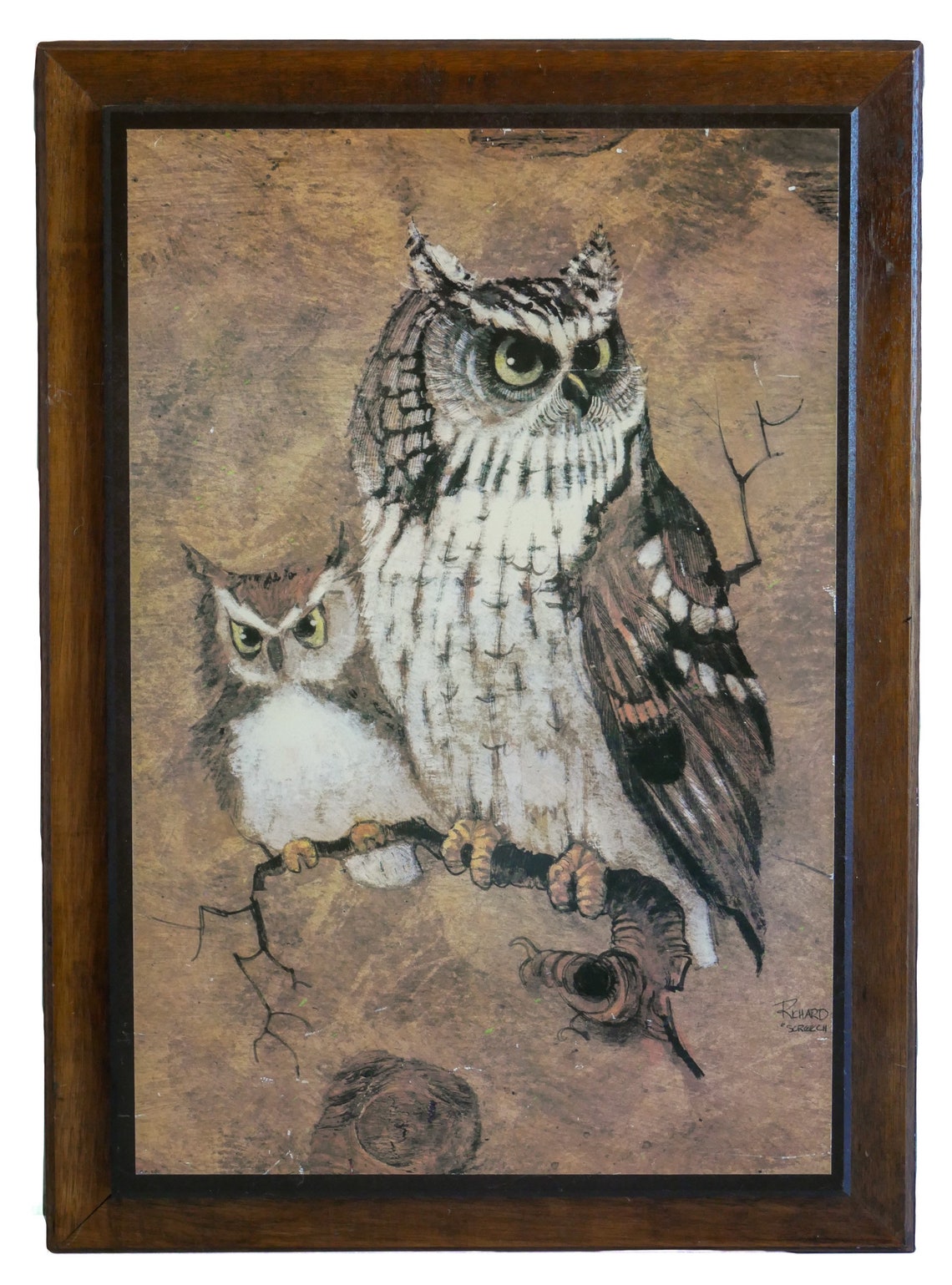 Vintage Richard Screech owl art | Etsy