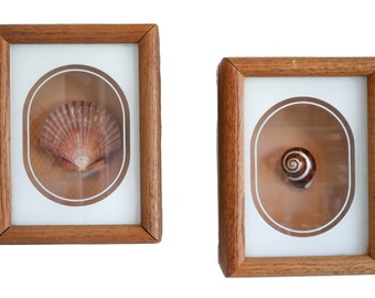 Shell Art Shadow Box | Etsy