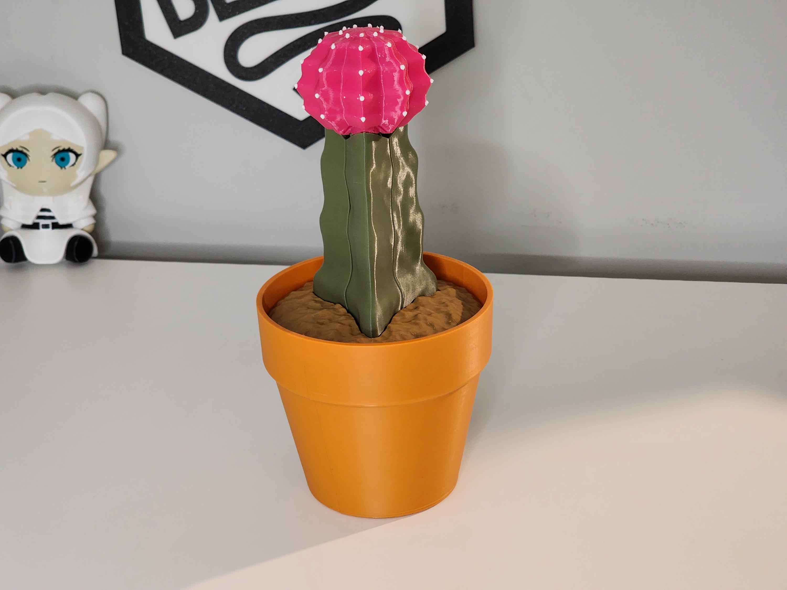 Moon Cactus Phone Stand | Phoney Cacti Customizable Plant Cell Phone ...