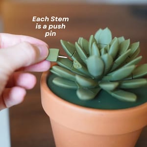 Push Pin Succulent 3D Printed Plant | Each Stem is A Push Pin Fake ...