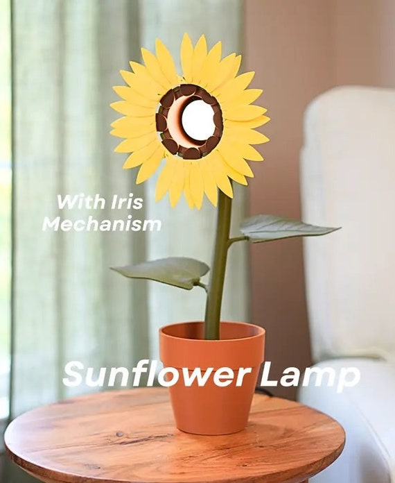 Sahara Flash With Sunflower