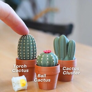 Fidget Clicky Toy W Mechanical Switches Clicky Cacti Pocket Plants ...