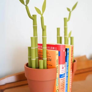 Bamboo Bookends Pens Highlighters Post Note Dispenser 3D Printed Plant ...