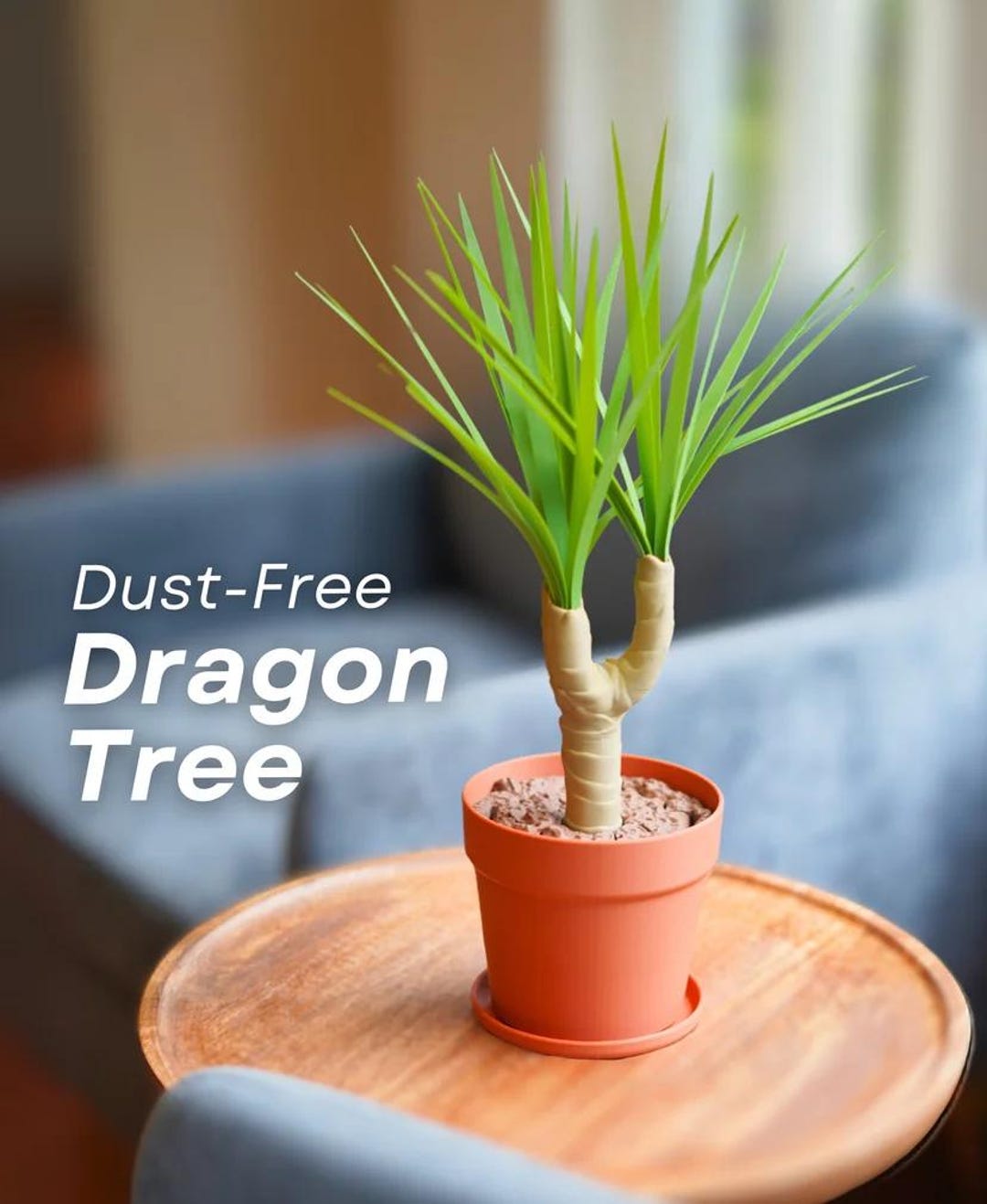 Dragon Tree Duster | Brush, Trashcan, Dustpan All-in-one Plant ...