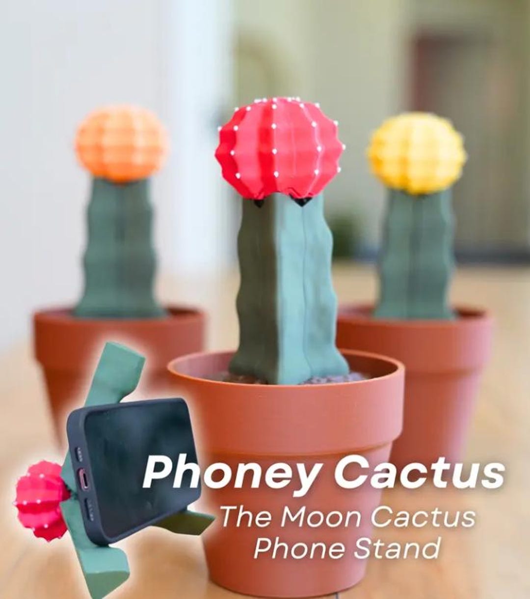 Moon Cactus Phone Stand | Phoney Cacti Customizable Plant Cell Phone ...