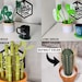 3D Printed Cactus Toothpick Dispenser House Plant Cacti Houseplant Hold ...