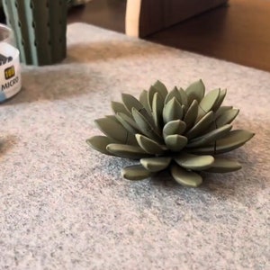 Push Pin Succulent 3D Printed Plant | Each Stem is A Push Pin Fake ...