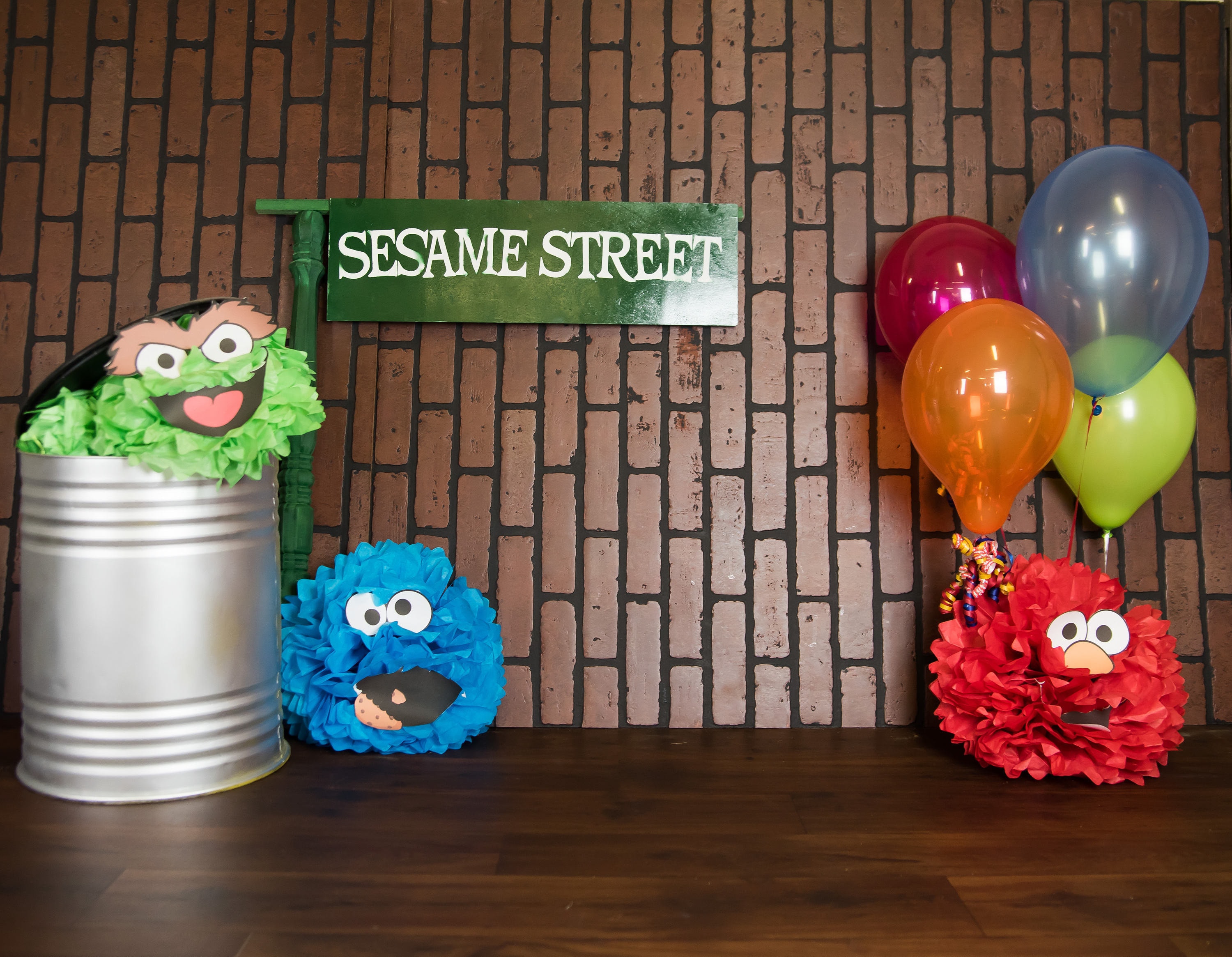 Sesame Street Backdrop
