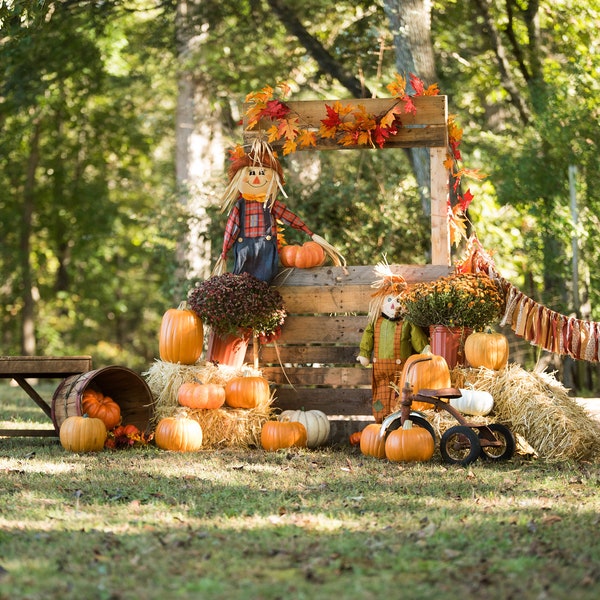 Pumpkin Stand - Etsy