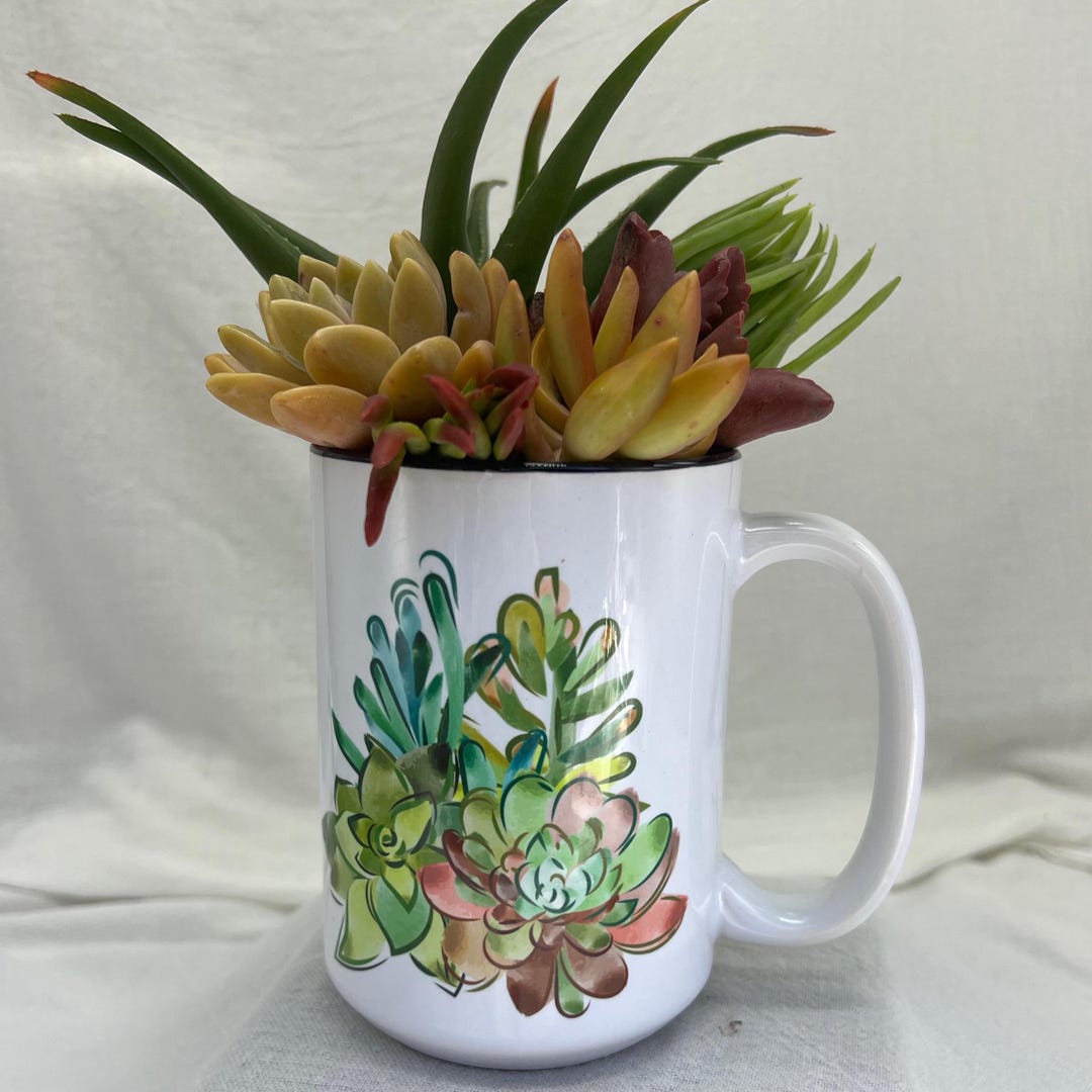 Succulent Themed Coffee Mug, Succ It Up, Tea Mug, Succulent Cutting ...