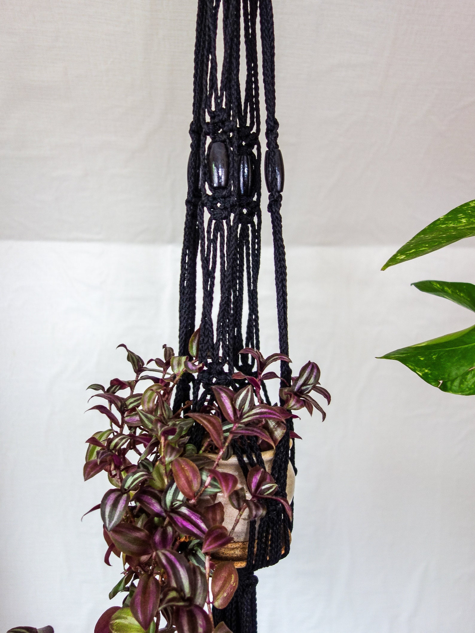 All Black Macrame Plant Hanger for Small or Medium Plant - Etsy