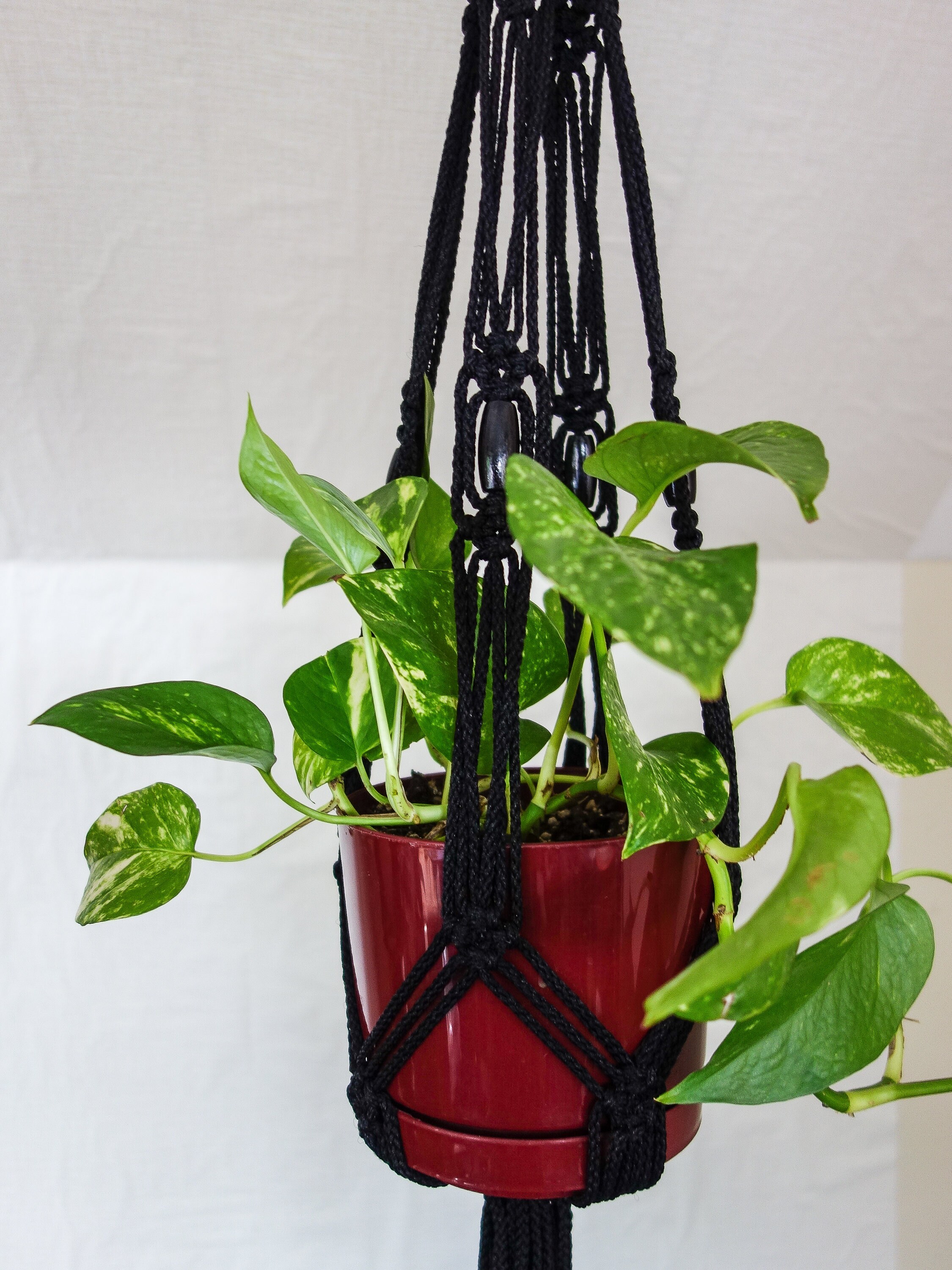 All Black Macrame Plant Hanger for Small or Medium Plant - Etsy
