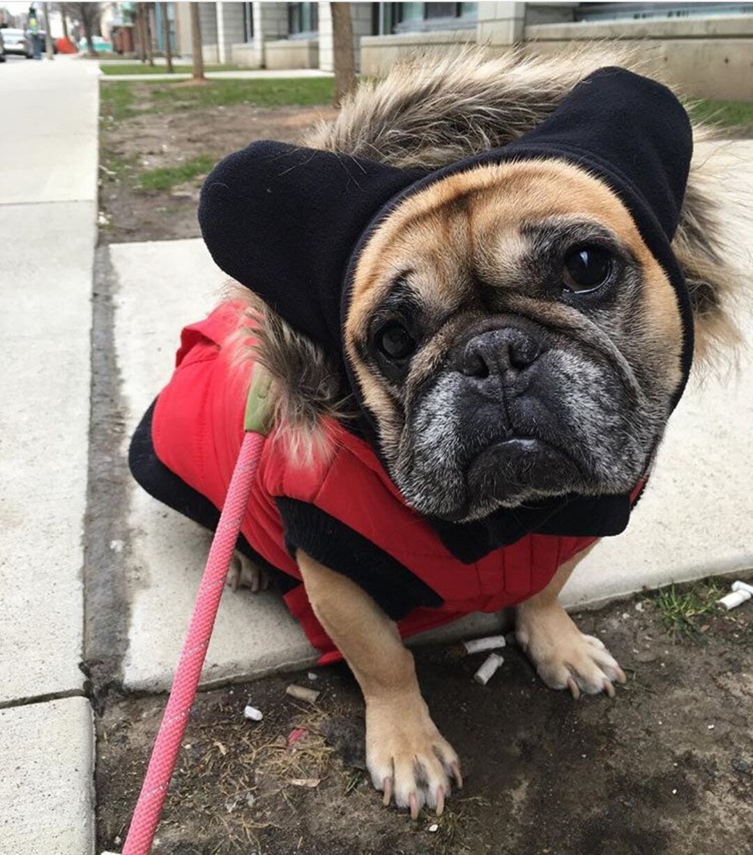 New Colours 2021 Frenchie Hat- Tie Dye + New Plaid+ Cheetah - Etsy