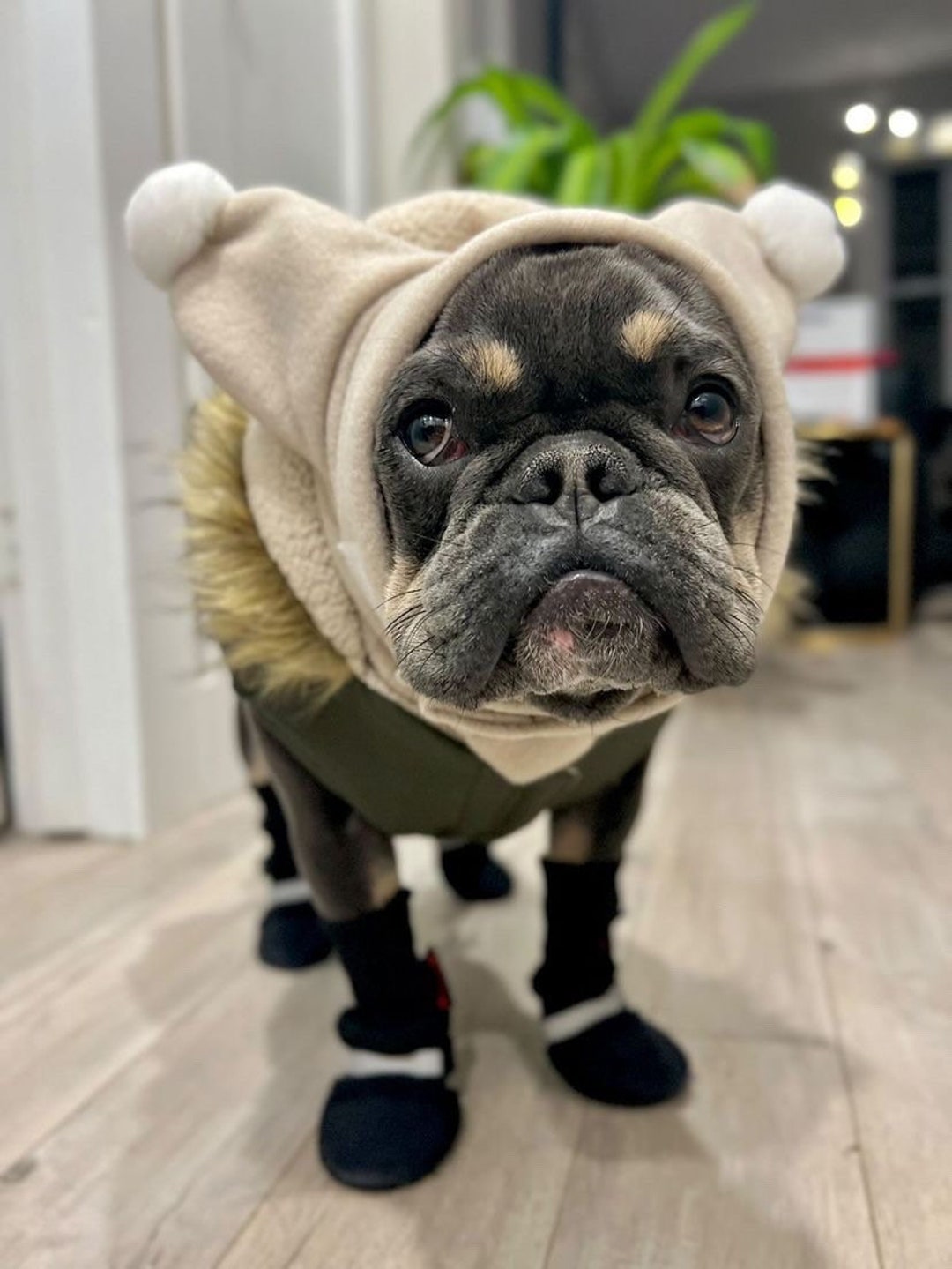 Pom Pom Frenchie Hats - Etsy