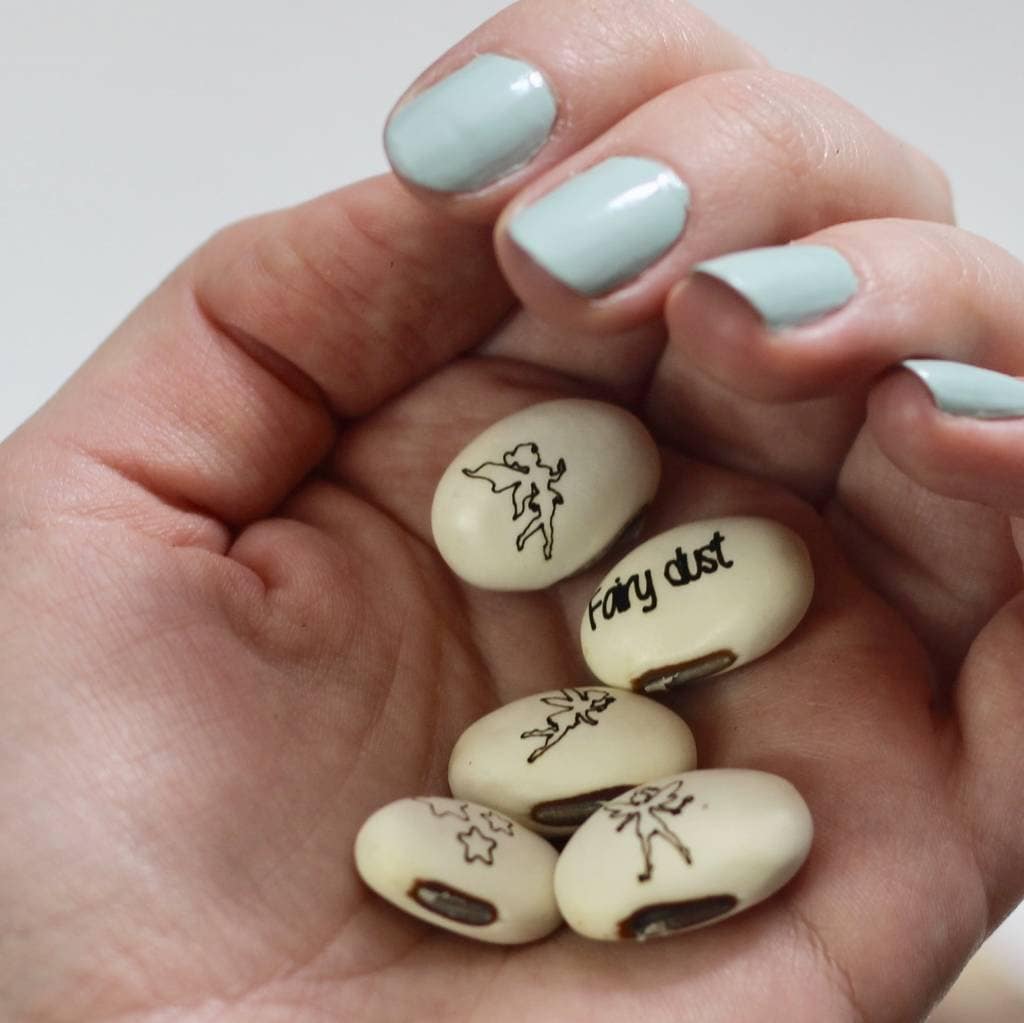 Magic Fairy Bean Grow Set - Etsy UK