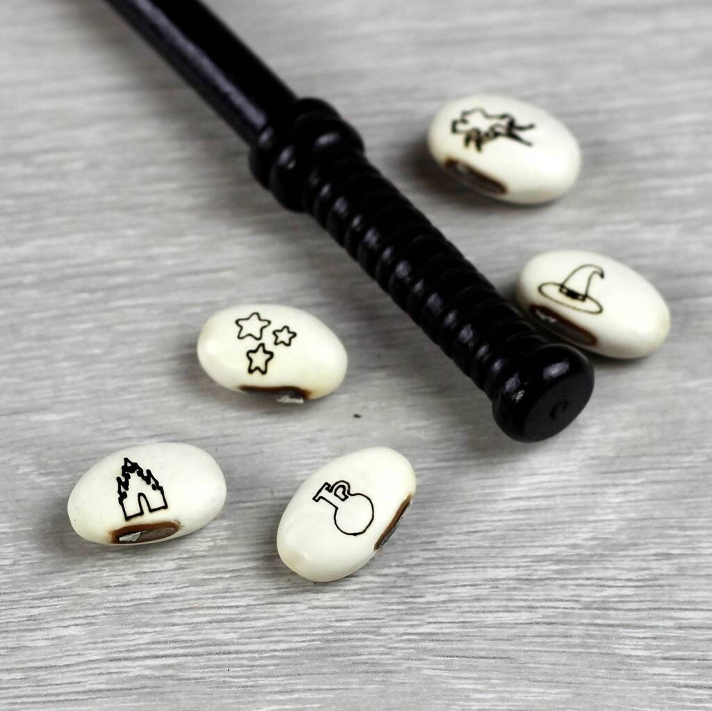 Magic Wizard Bean Grow Set | Etsy