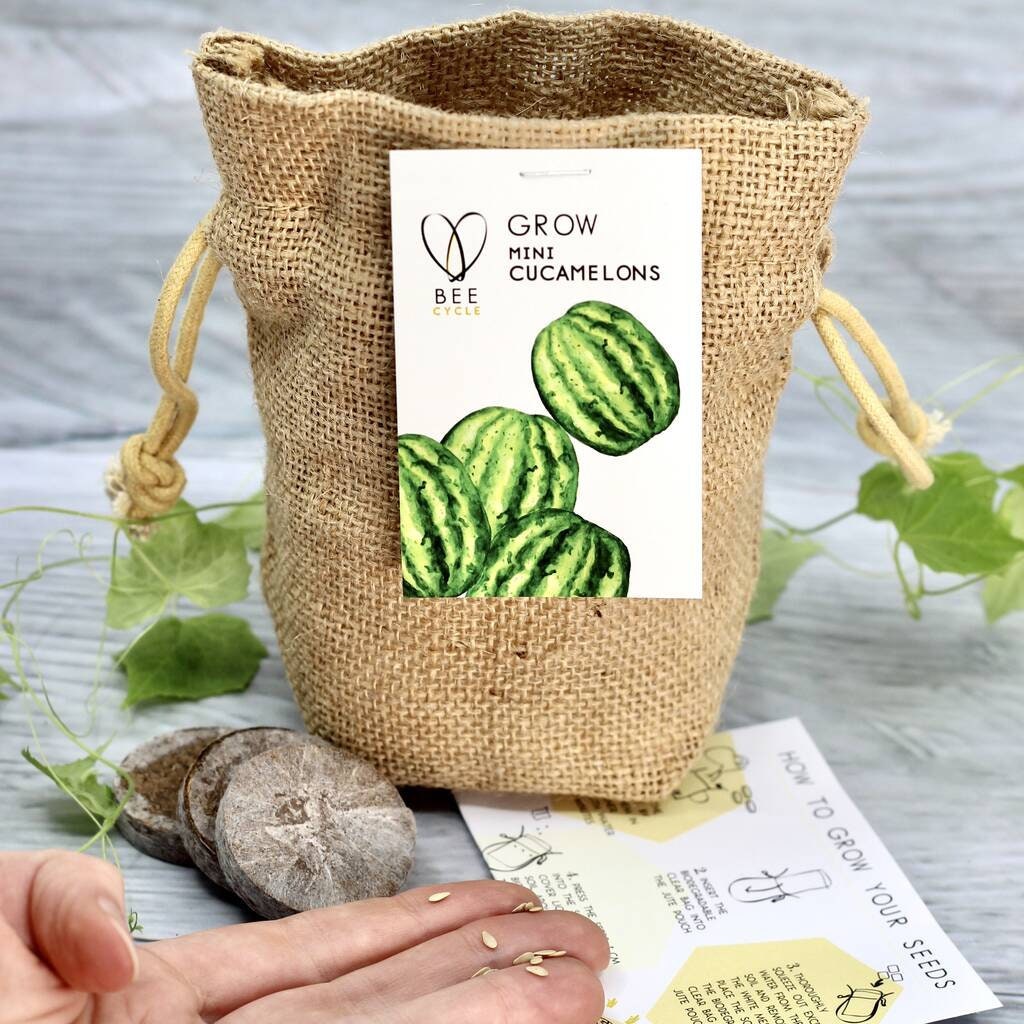 Grow Your Own Mini Melons Set - Etsy UK