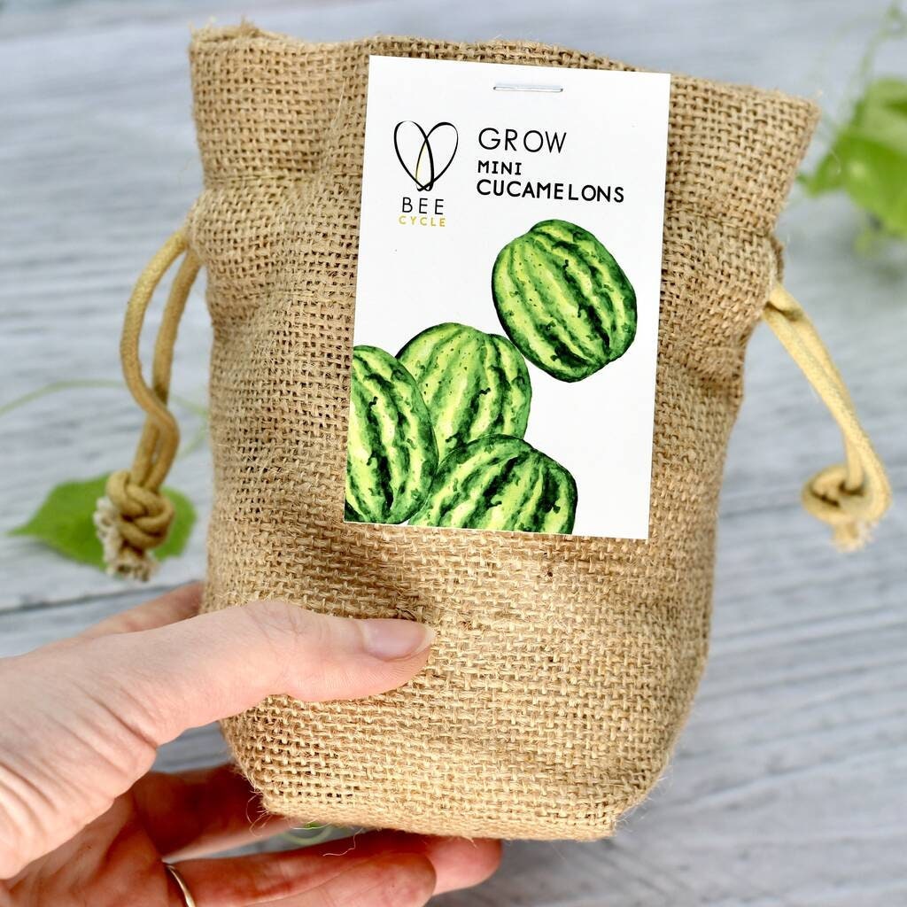 Grow Your Own Mini Melons Set - Etsy UK