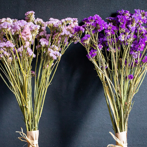 Statice Flowers - Etsy